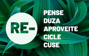 Os 5 Rs da sustentabilidade para você praticar - ITV Urbanismo